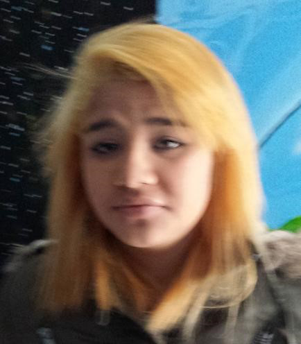 WPS looking for missing girl – Winnipeg Free Press