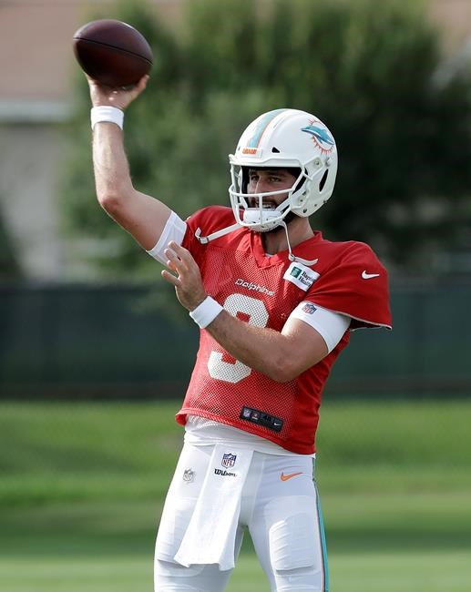 Fitzpatrick competes for Dolphins job while helping Rosen – Winnipeg ...