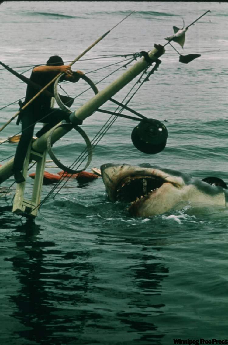 See Jaws on the beach at Gimli Film Festival – Winnipeg Free Press