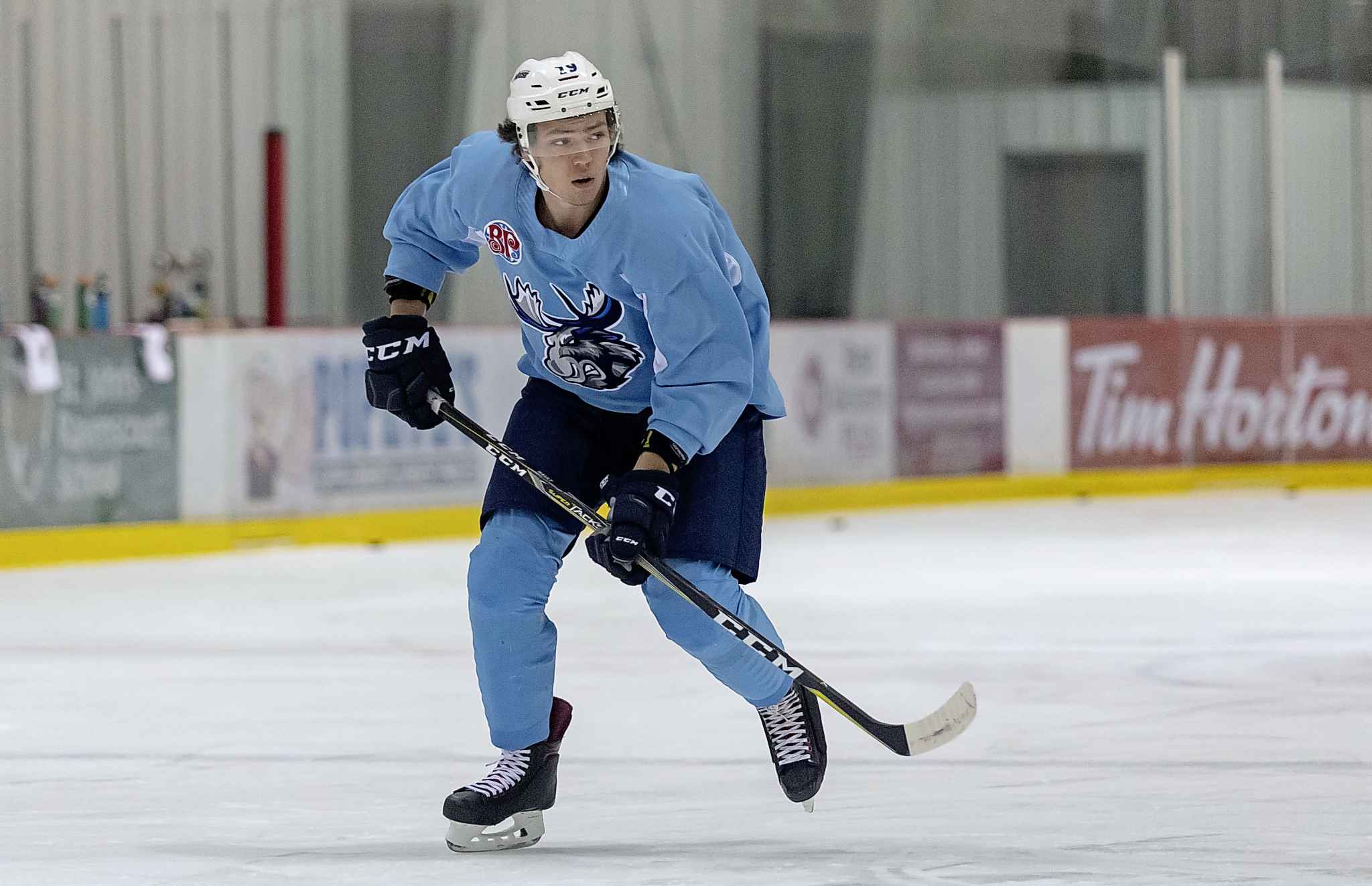 Bisons and Swamp Rabbits and Moose, oh my! – Winnipeg Free Press