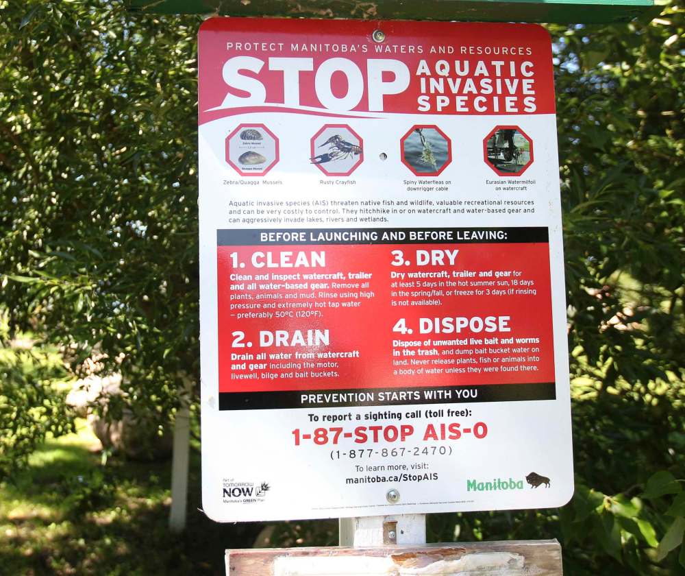 Zebra mussel battle divides Gull Lake – Winnipeg Free Press