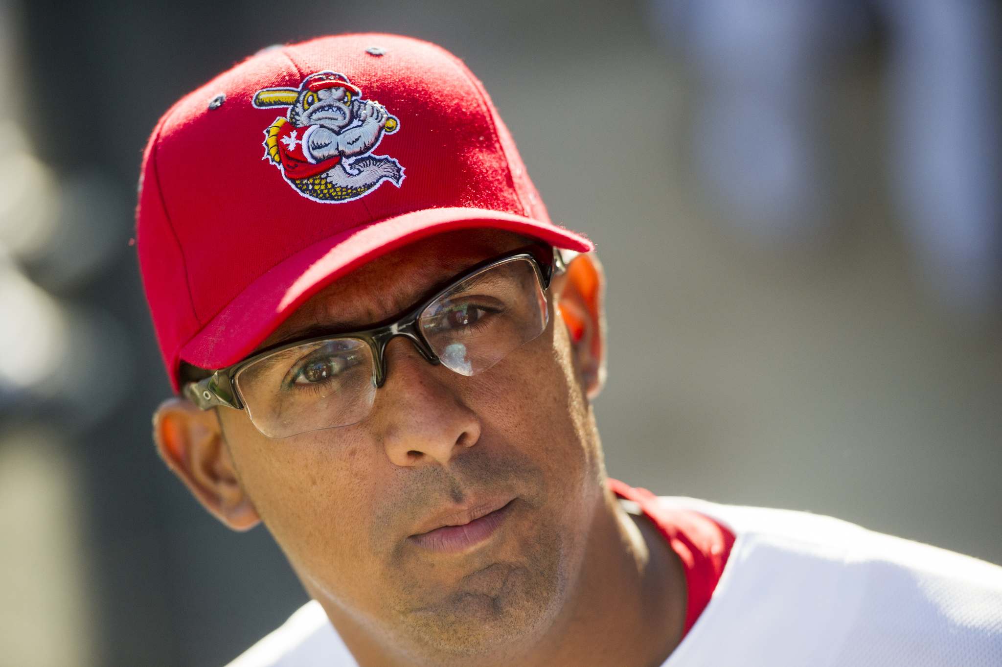 Pitcher’s got a rubber arm – Winnipeg Free Press