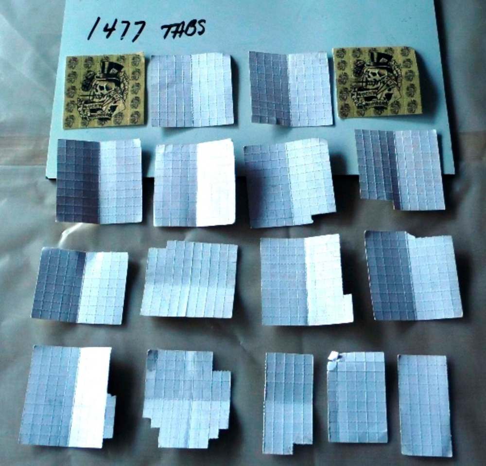 Suspected elephant painkiller found in Winnipeg drug raid – Winnipeg ...