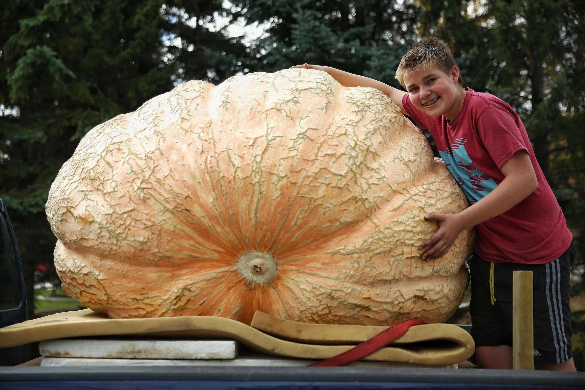 Good gourd: Two-time prizewinner’s giant pumpkin breaks scale ...