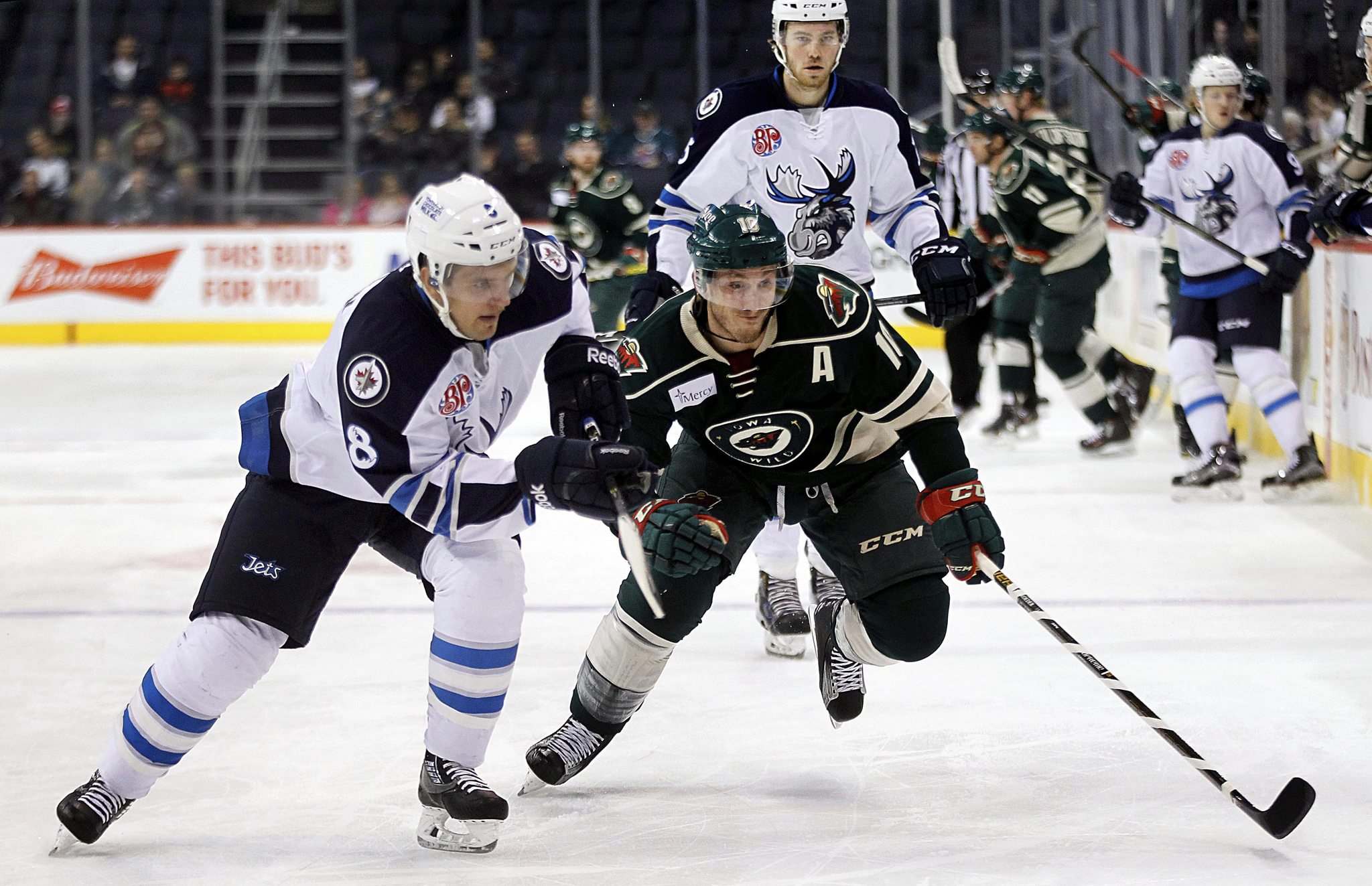 Kichton getting back to business – Winnipeg Free Press