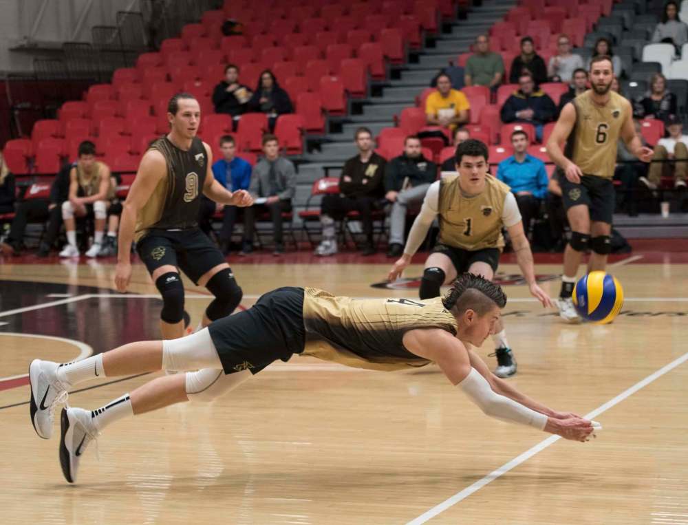 Bisons volleyball digging deep – Winnipeg Free Press
