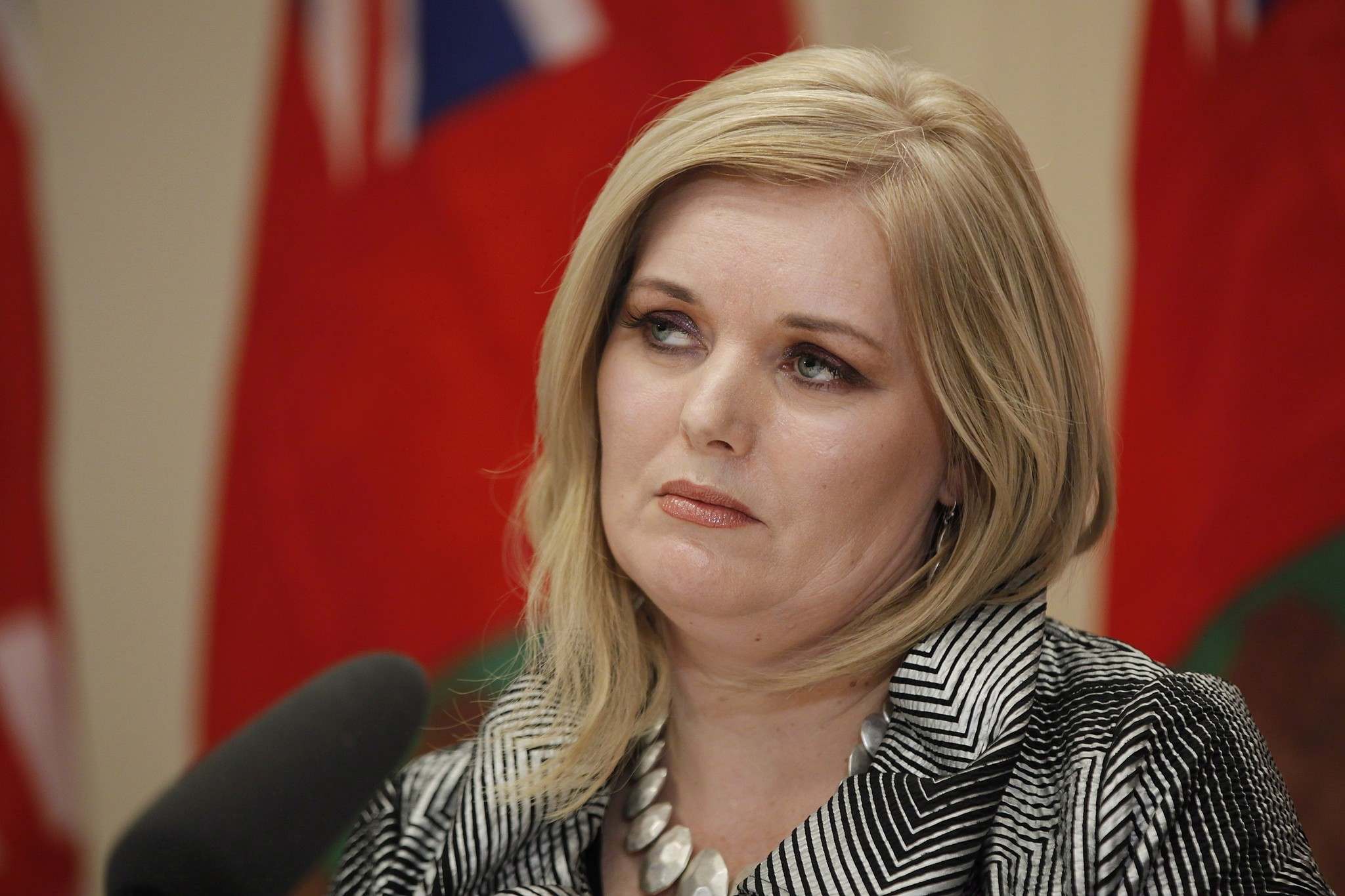 Macdonald Youth Services names former NDP family services minister as ...