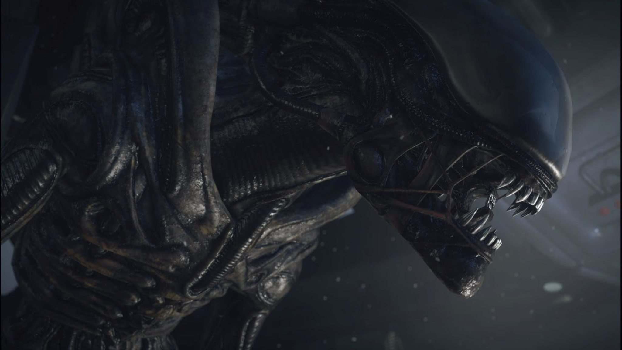 On the origin of the xenomorph – Winnipeg Free Press