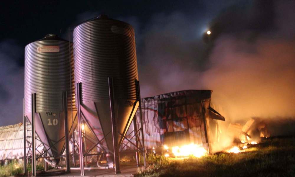 3,500 hogs killed in New Bothwell barn fire – Winnipeg Free Press