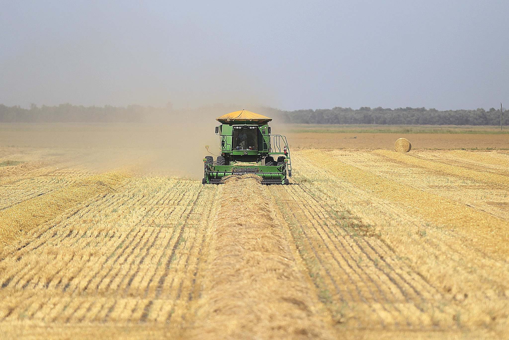 The reason farmers grow a wide variety of crops – Winnipeg Free Press