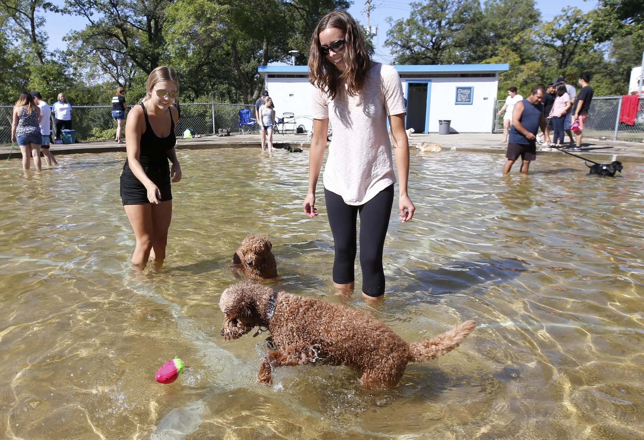 Hot dogs get chance to cool off in wading pools – Winnipeg Free Press