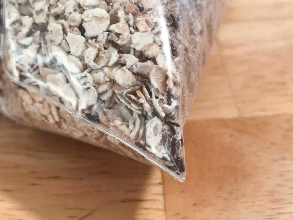 Winnipeg couple bugged by beetles in oatmeal – Winnipeg Free Press