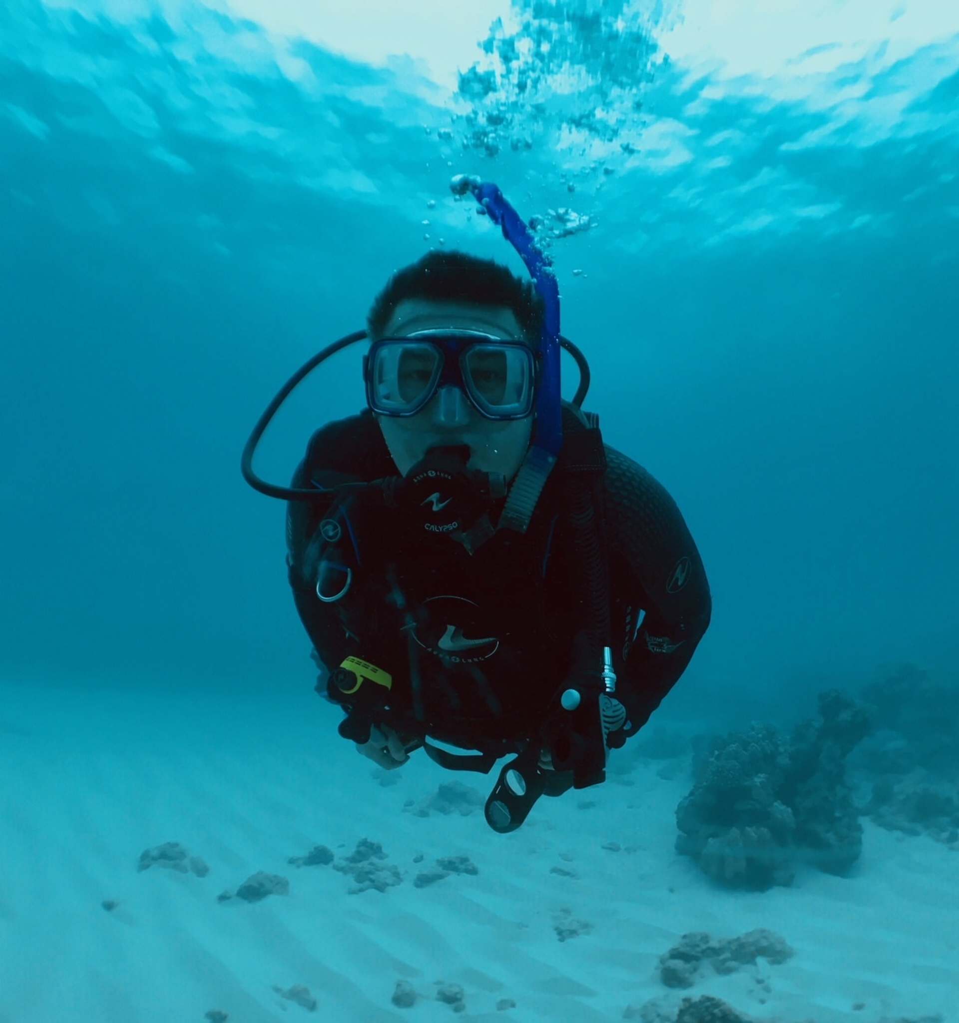 Learning to dive – Winnipeg Free Press