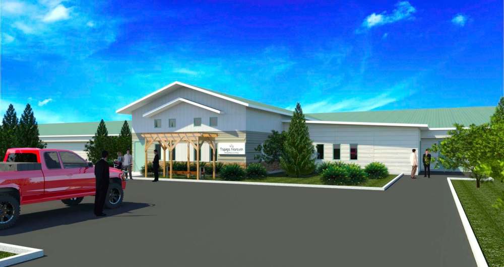 Dutch firm prepares to open hog facility – Winnipeg Free Press