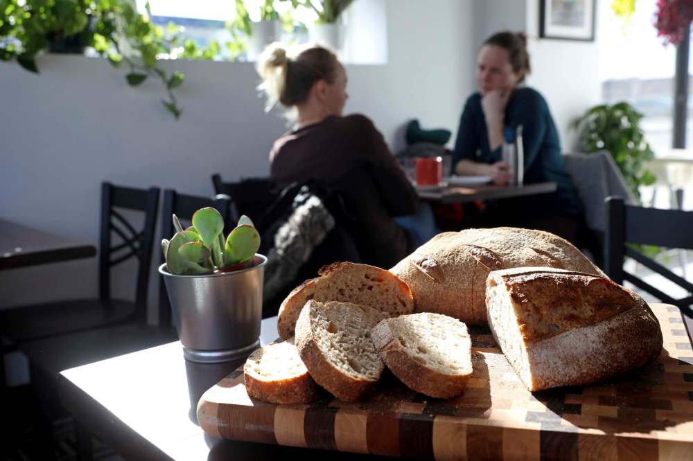 Get your hands on a little slice of heaven – Winnipeg Free Press