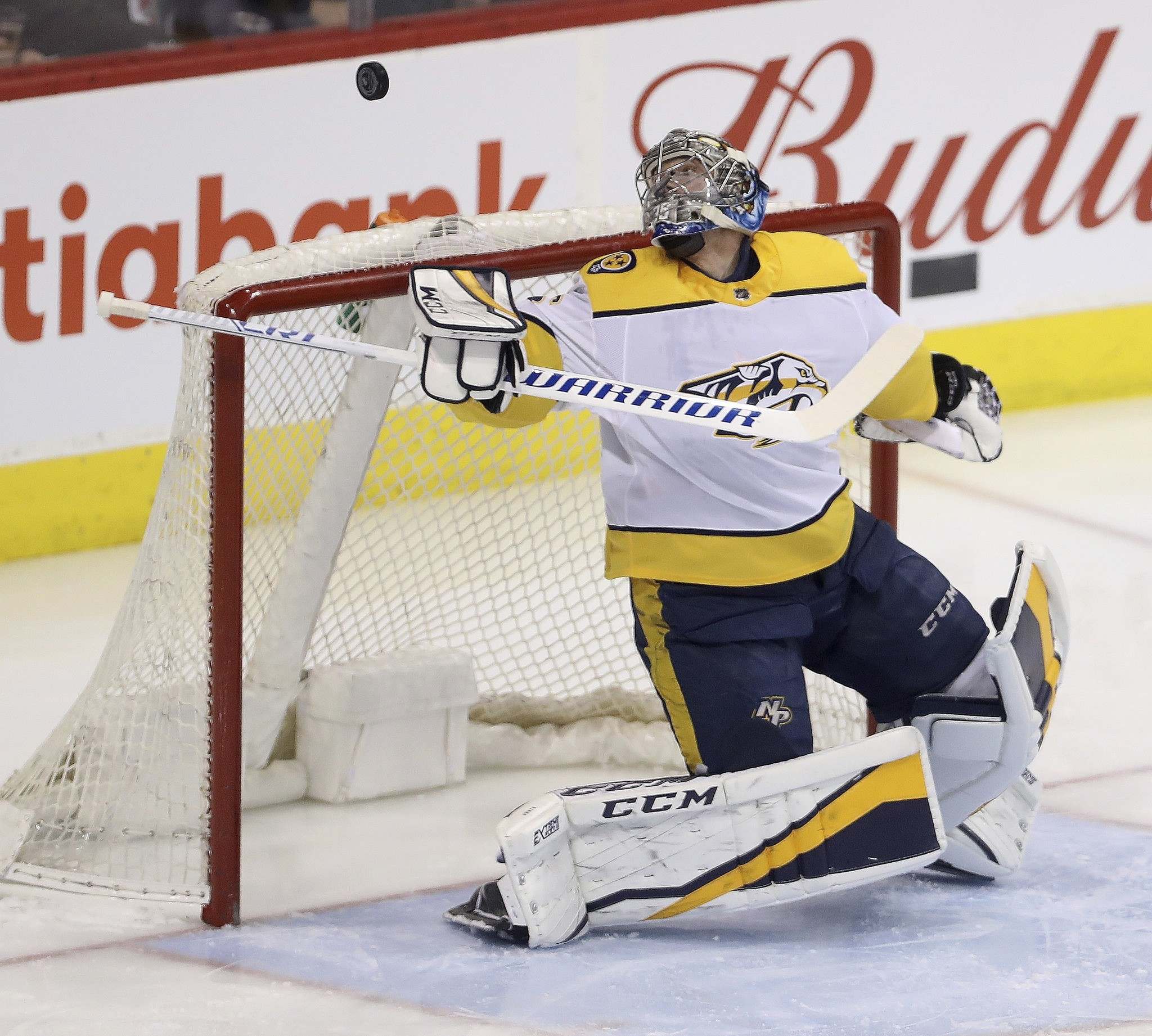Predators aren’t afraid to enter whiteout tonight – Winnipeg Free Press