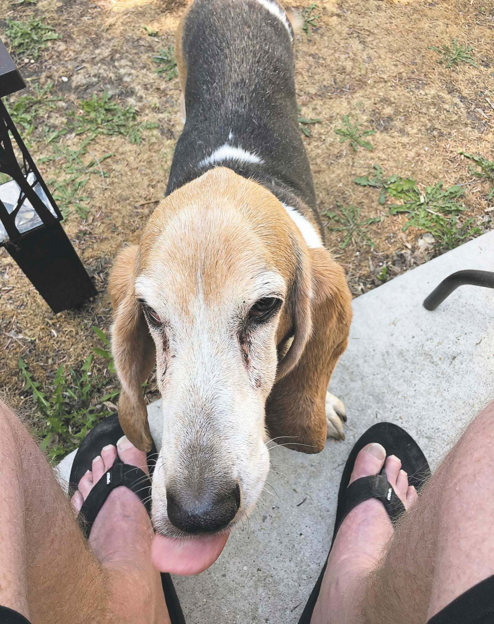Making the best of a stinky situation – Winnipeg Free Press