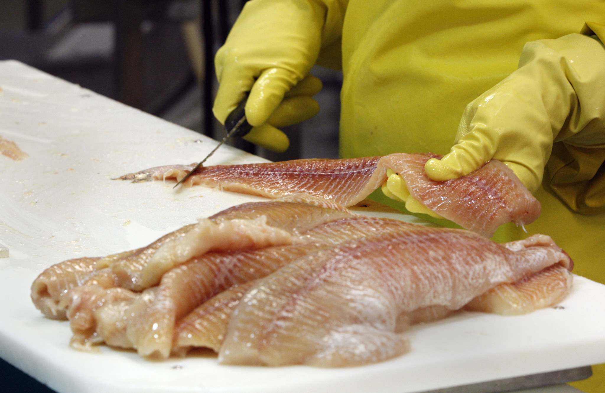 Frequent processing plant injuries just one of many problems with ...
