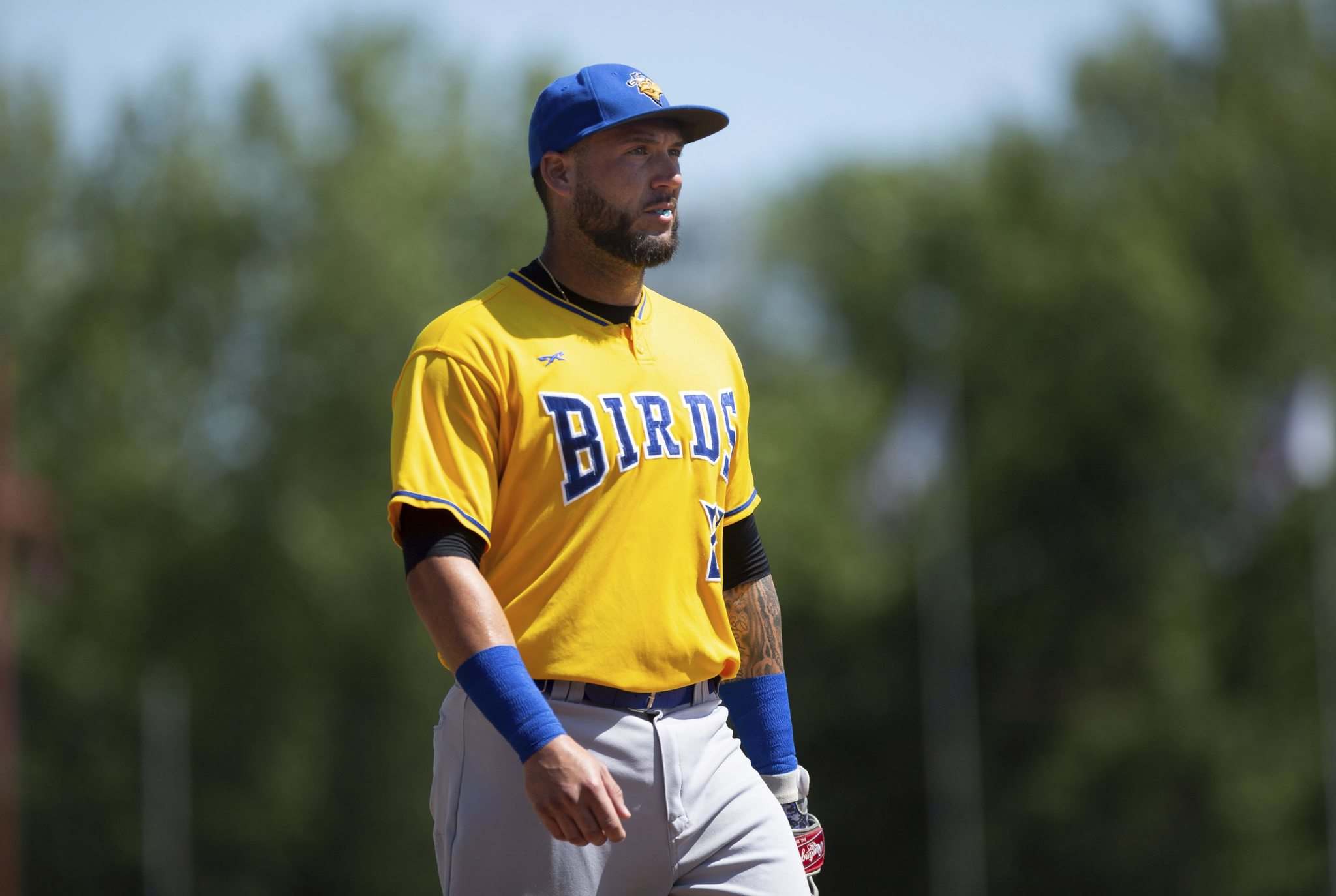 Bergin back home, but wearing new colours – Winnipeg Free Press