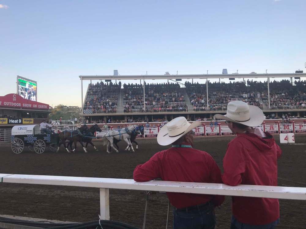 Easy to see why it’s called ‘Stampede City’ – Winnipeg Free Press