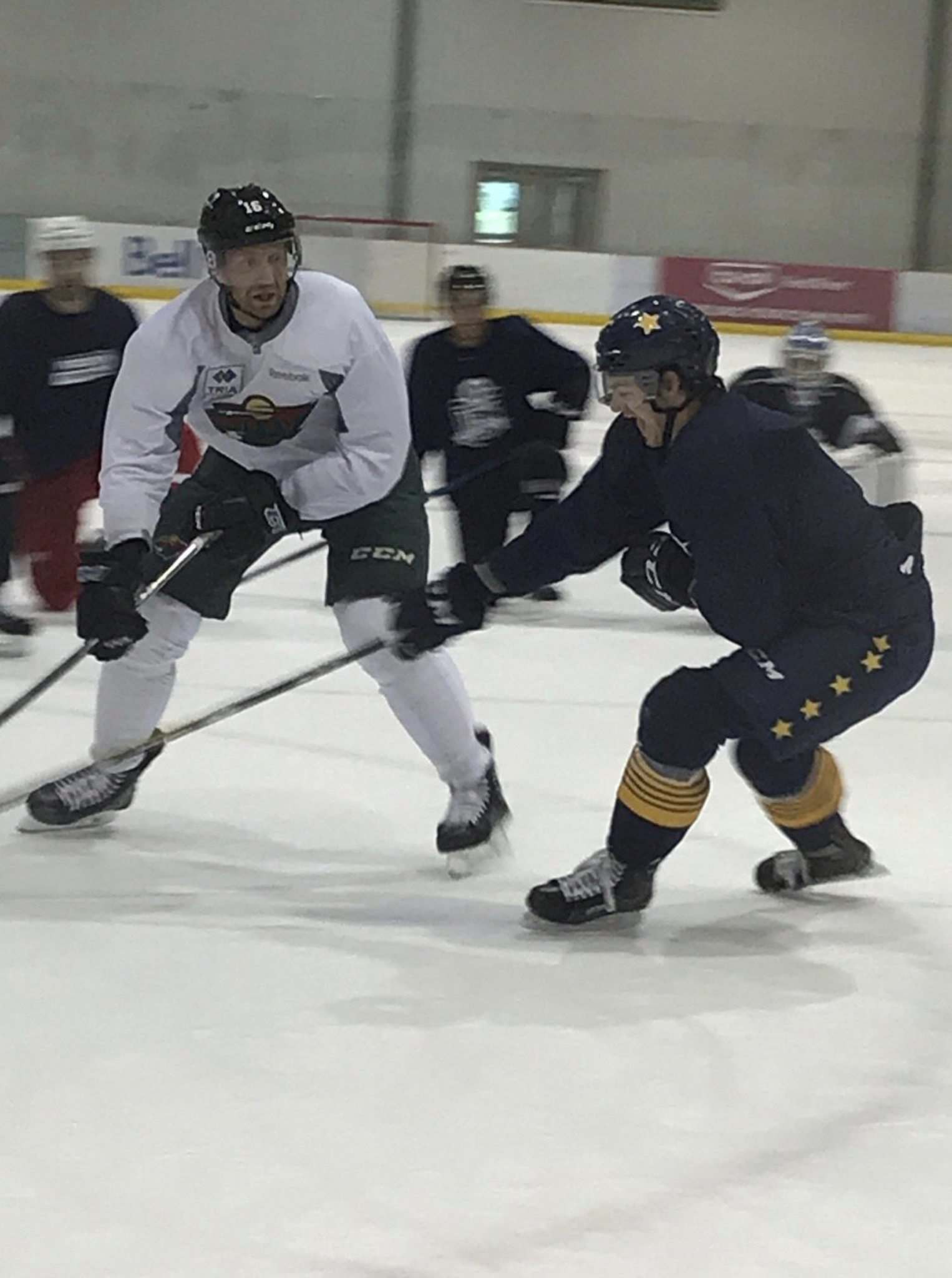 Veteran forward Fehr is going Wild – Winnipeg Free Press