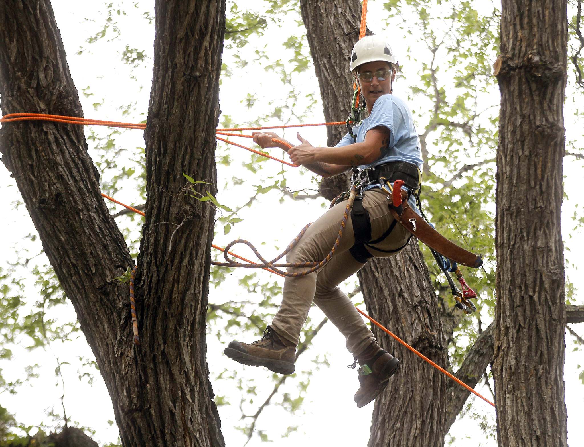 Best tree-climbers on the Prairies descend on Winnipeg to ascend giant ...