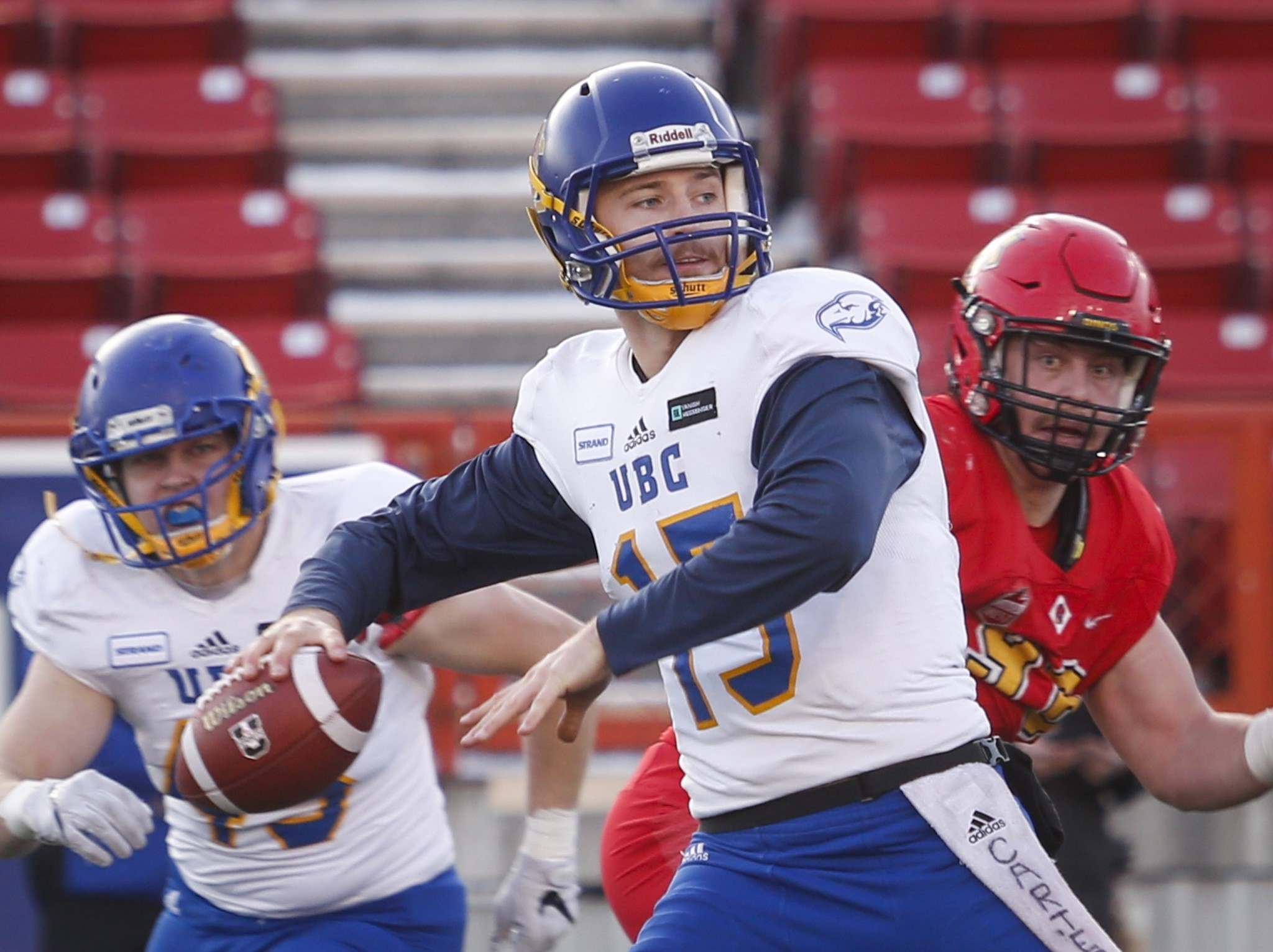 Bisons open season against Thunderbirds – Winnipeg Free Press