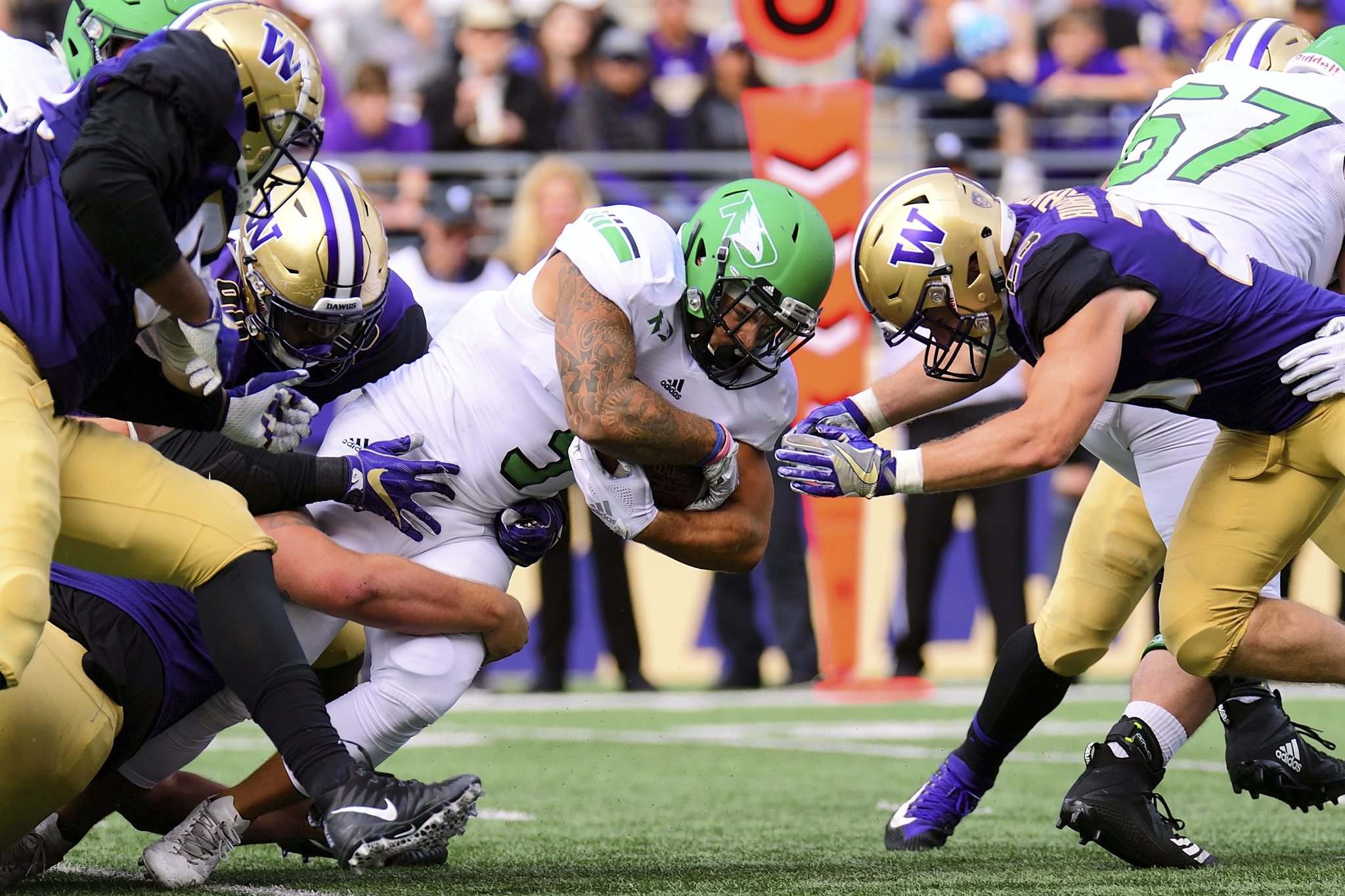 Fighting Hawk has eye on NFL – Winnipeg Free Press