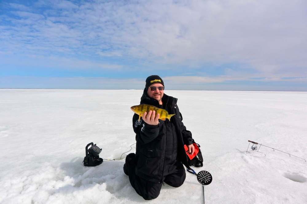 Lake Manitoba perch fishery slowly recovering – Winnipeg Free Press