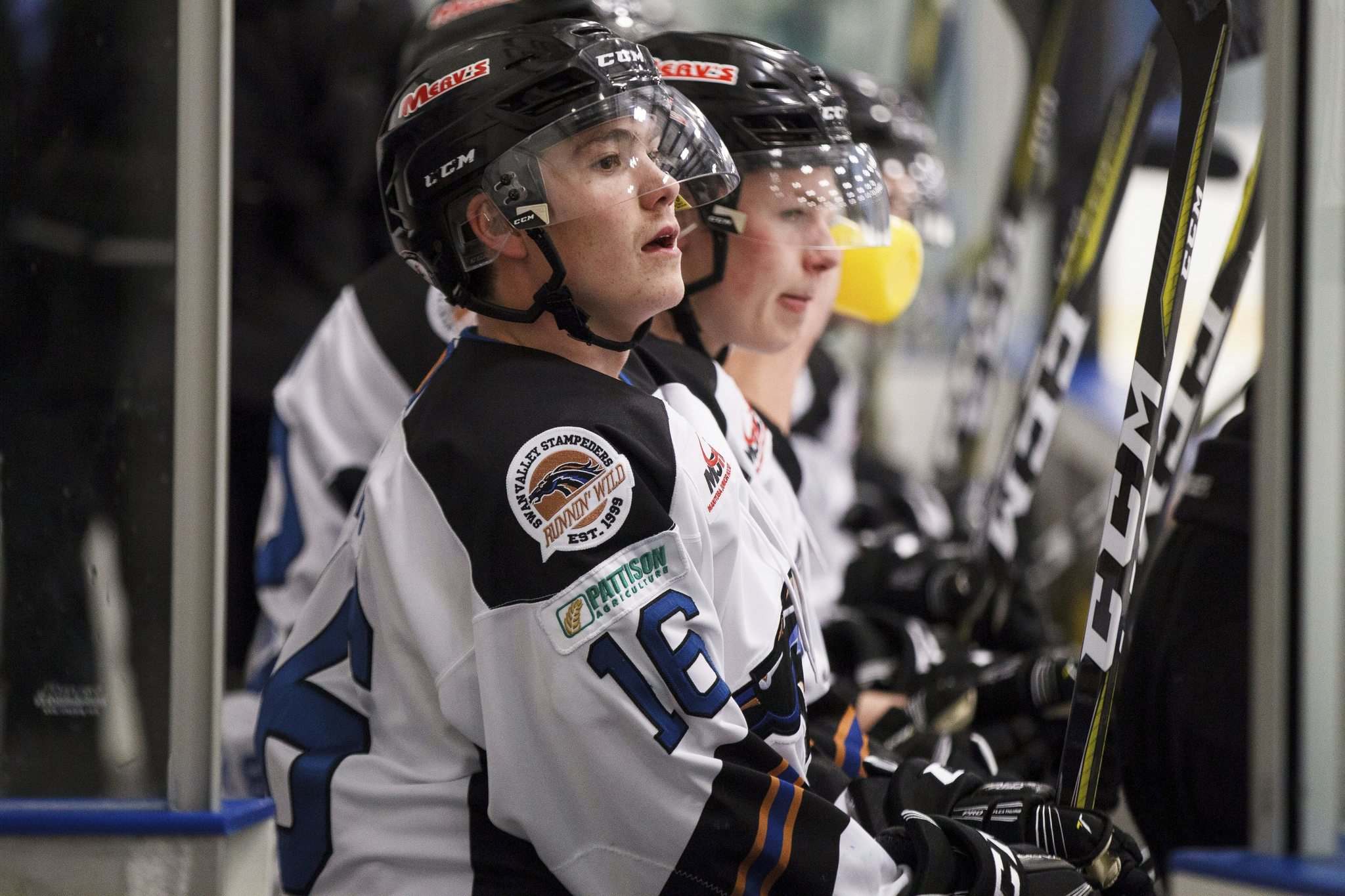 Skating after success – Winnipeg Free Press