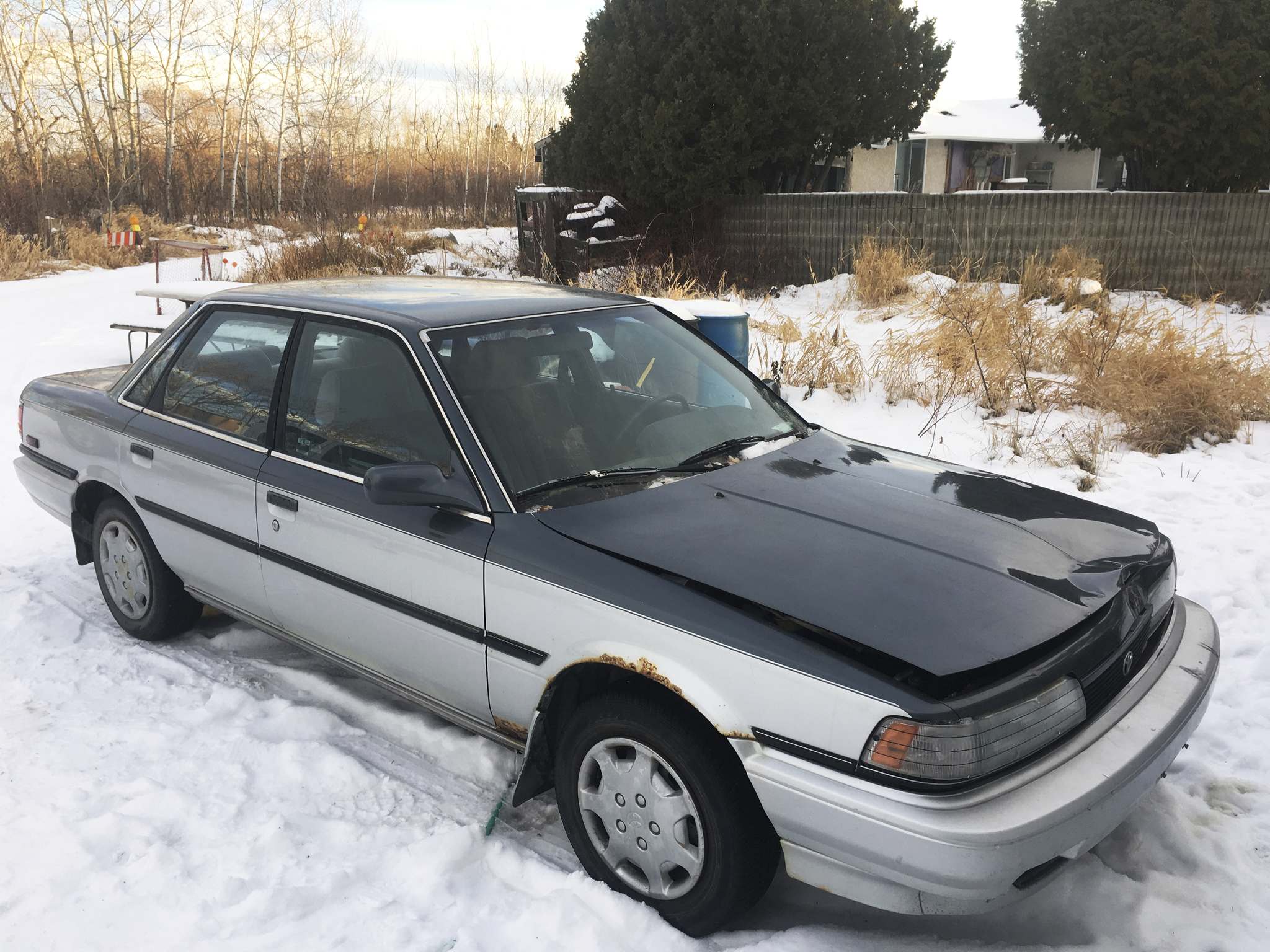 Classic Camry for Christmas – Winnipeg Free Press