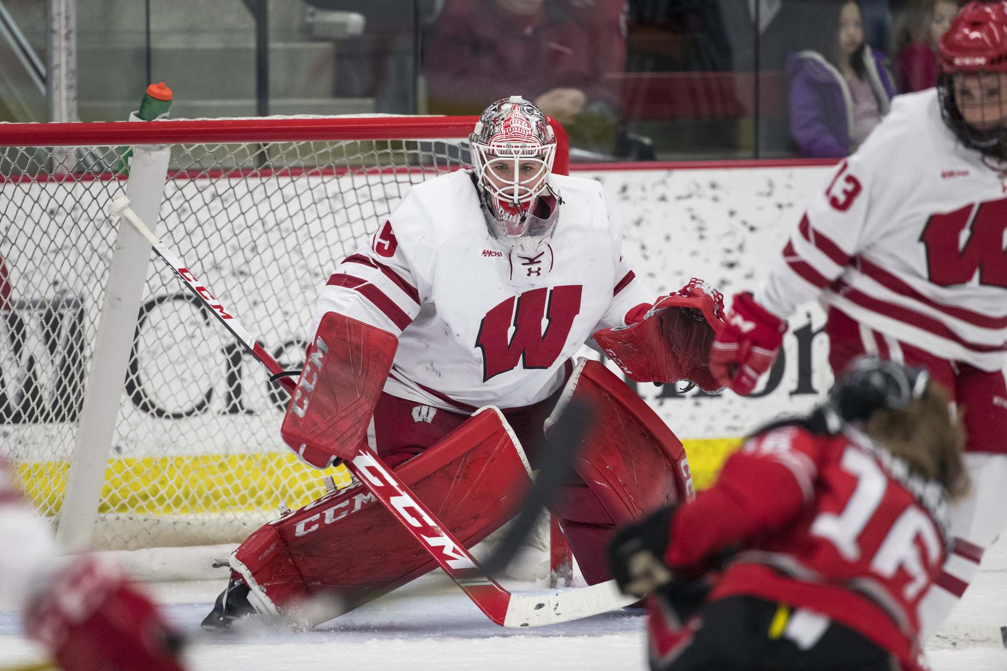 Brandon goalie takes badgers to NCAA final – Winnipeg Free Press