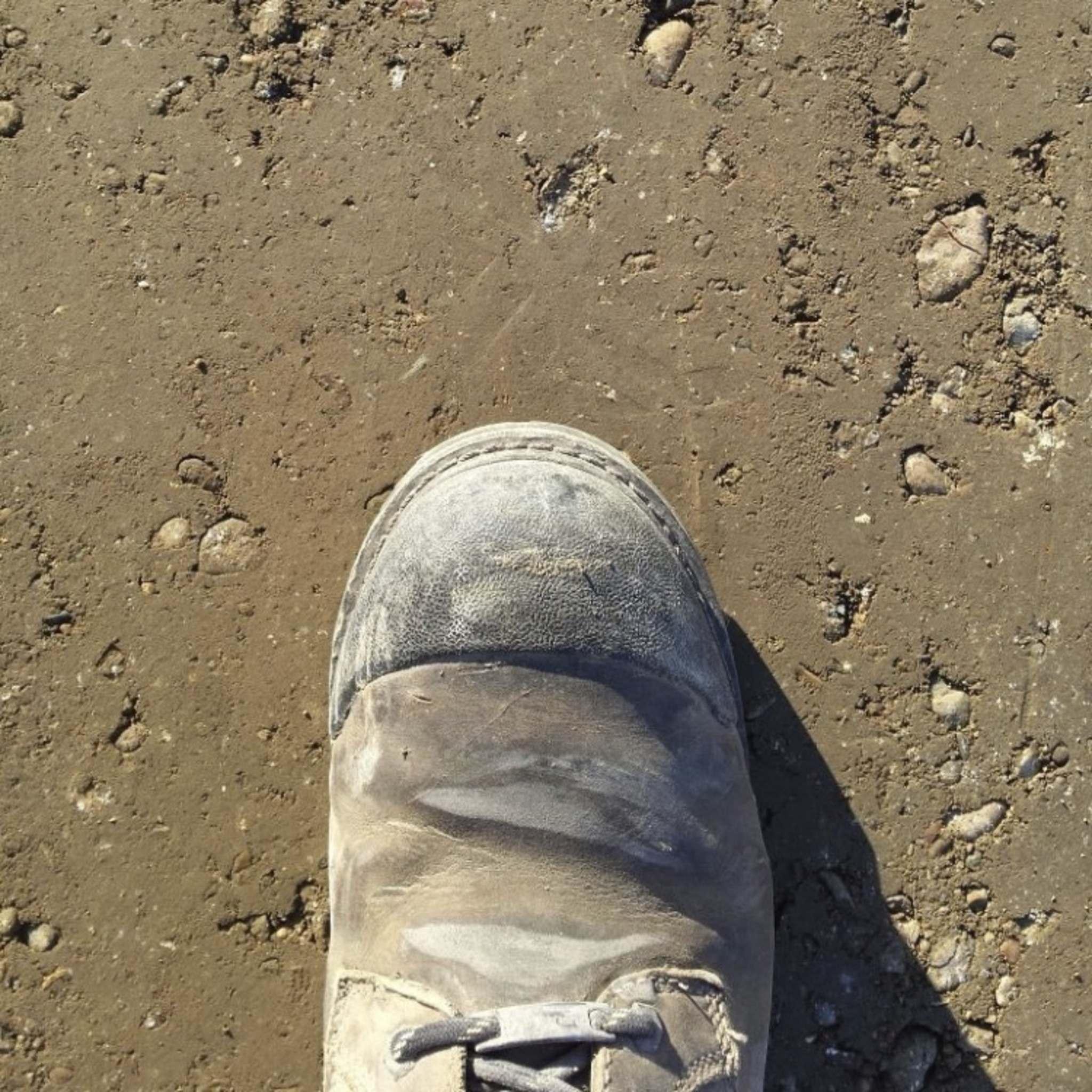 Dust-busters – Winnipeg Free Press