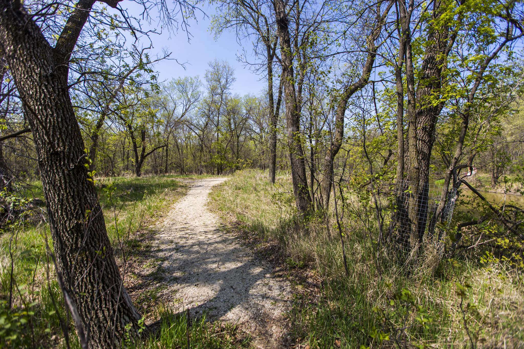 City casts eye on available forest property – Winnipeg Free Press