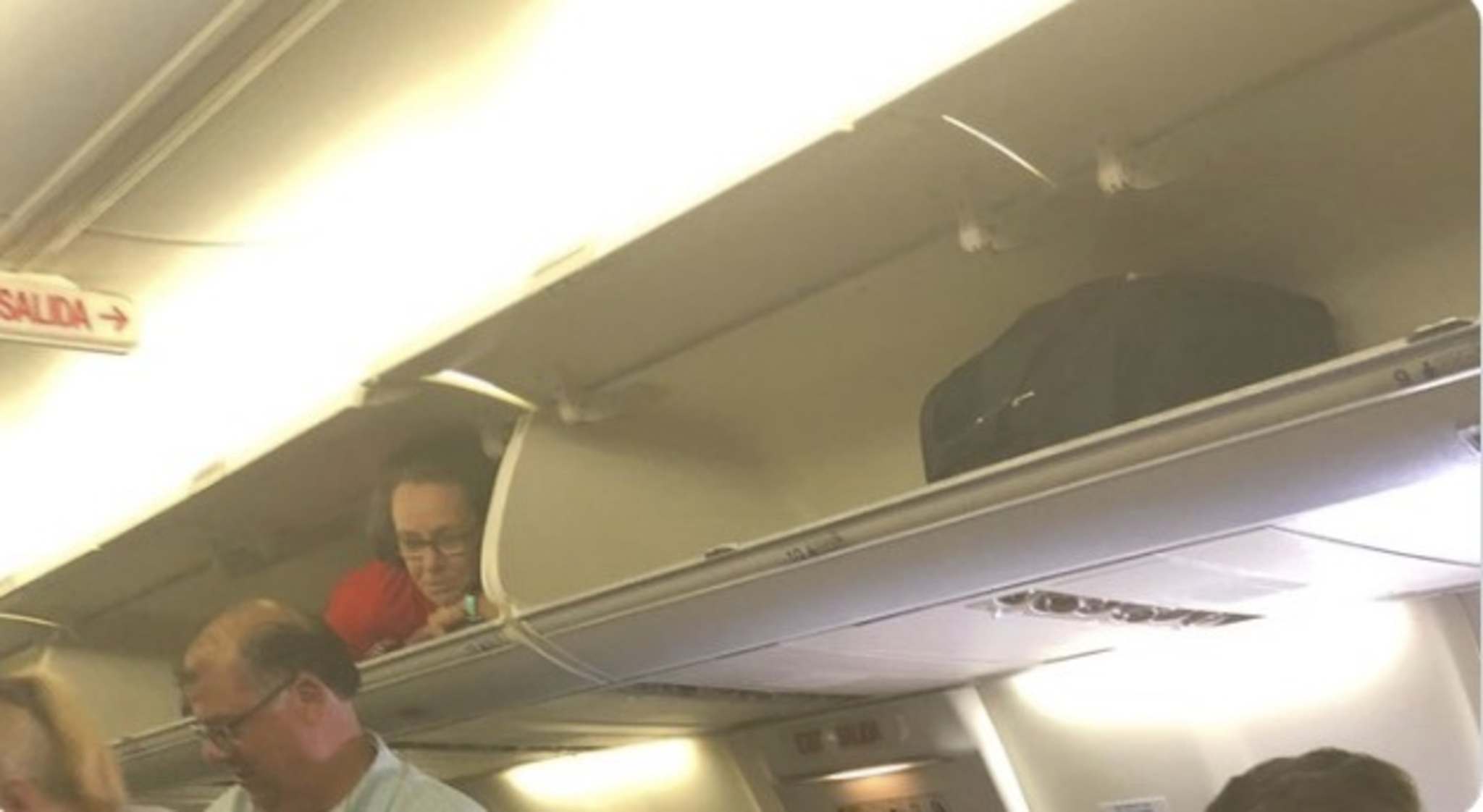 Overhead compartment looks comfy – Winnipeg Free Press