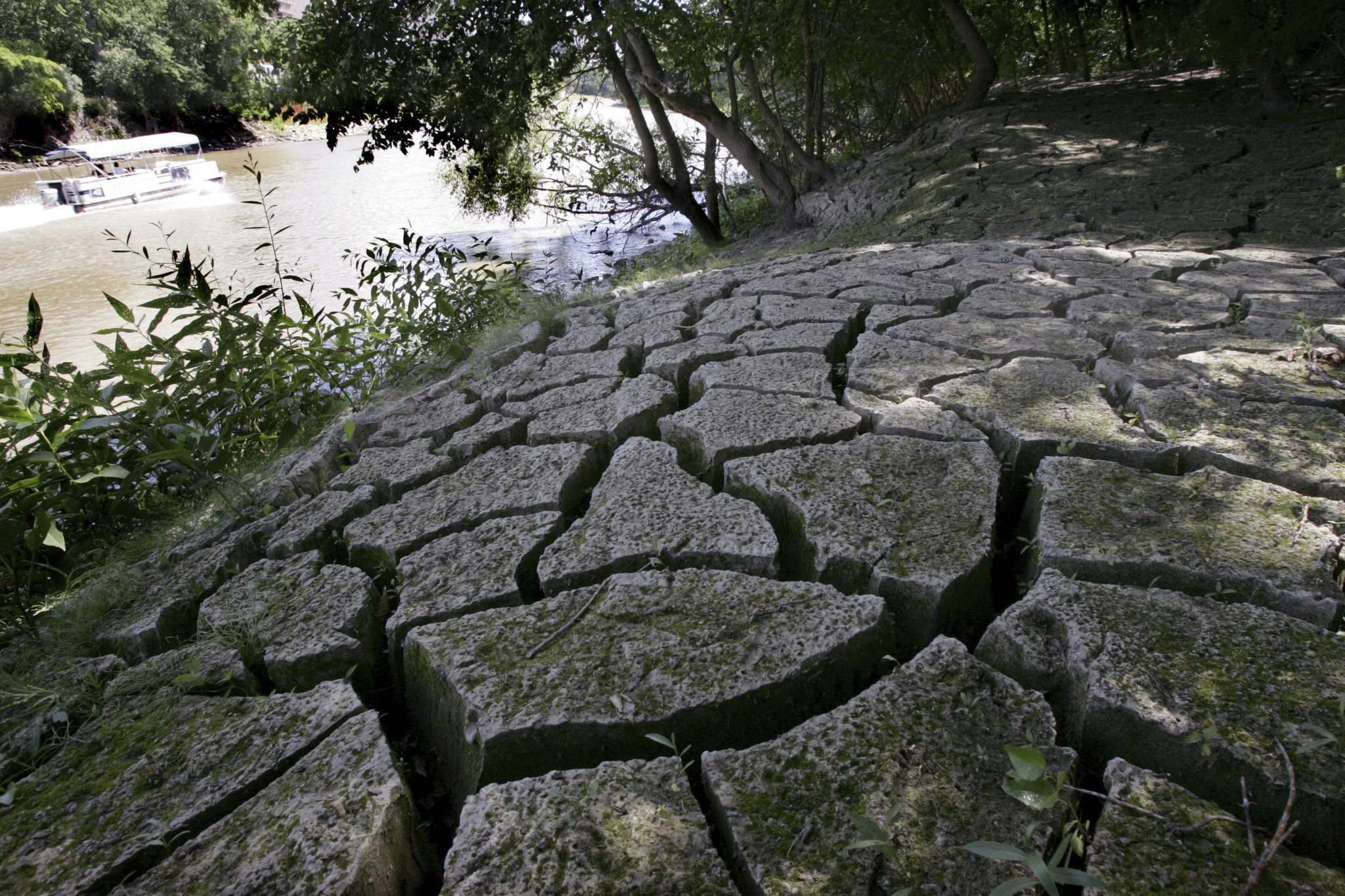 Heat waves increasing danger in Canada’s forecast: report – Winnipeg ...
