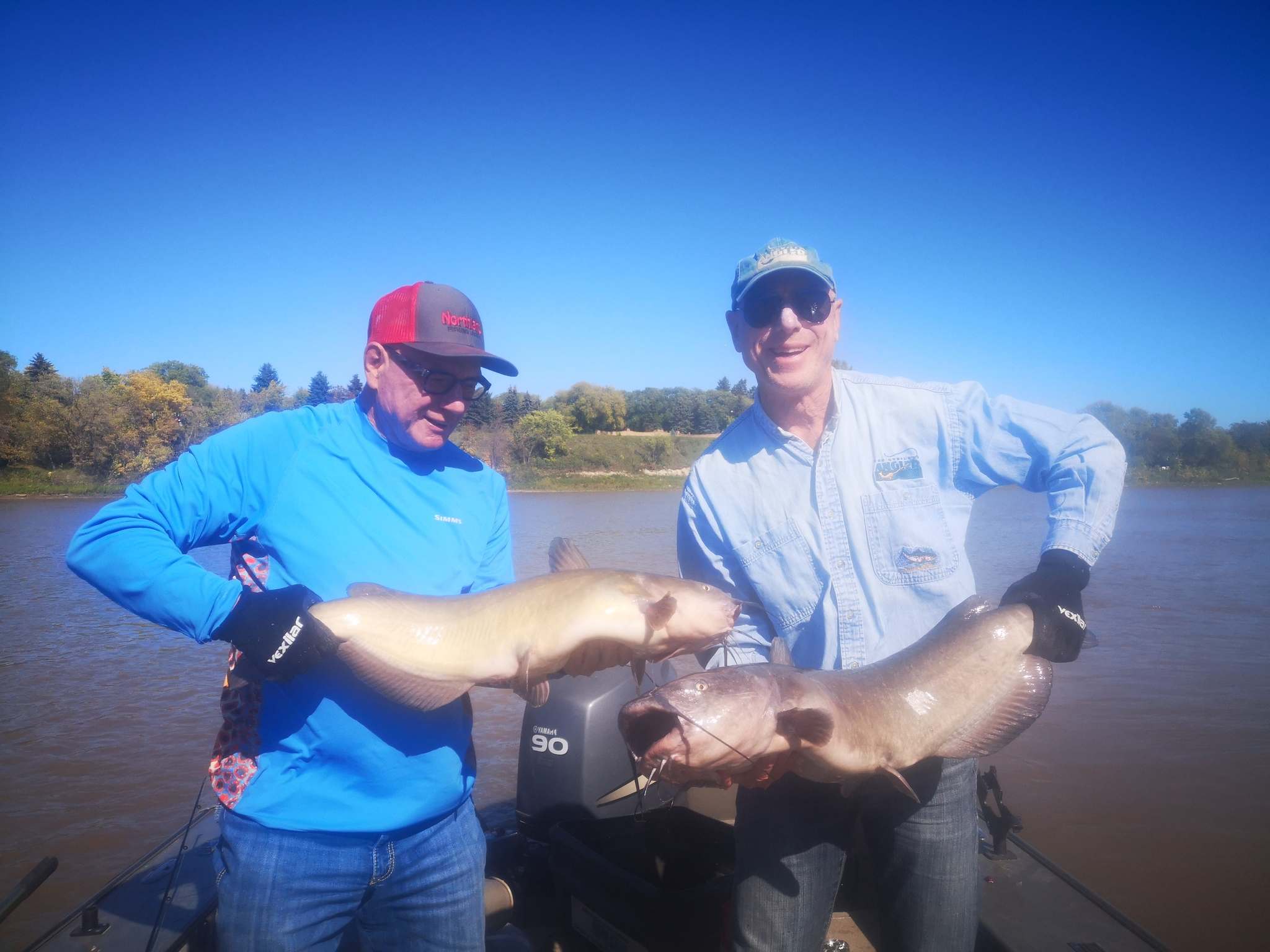 Perfect catfish conditions on the Red River – Winnipeg Free Press