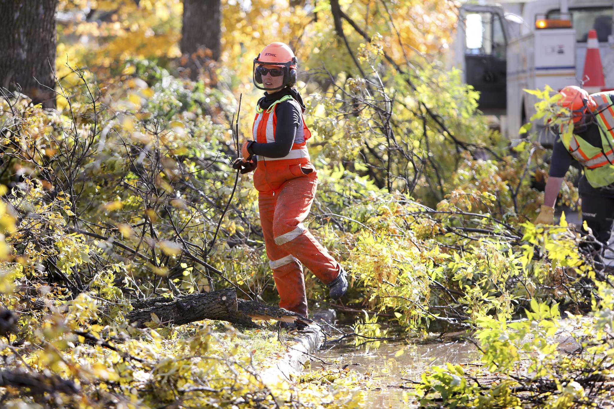 All hands on deck for city crews cleaning up tree debris – Winnipeg ...