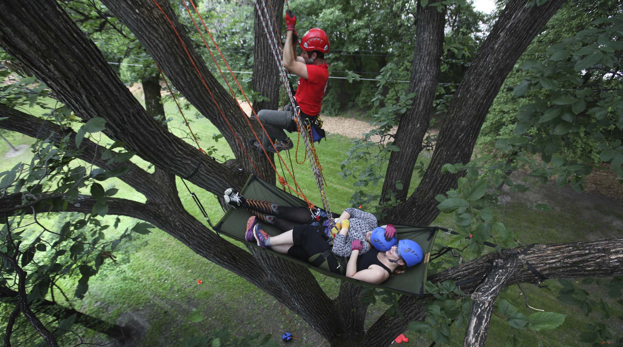 Go climb a tree – Winnipeg Free Press