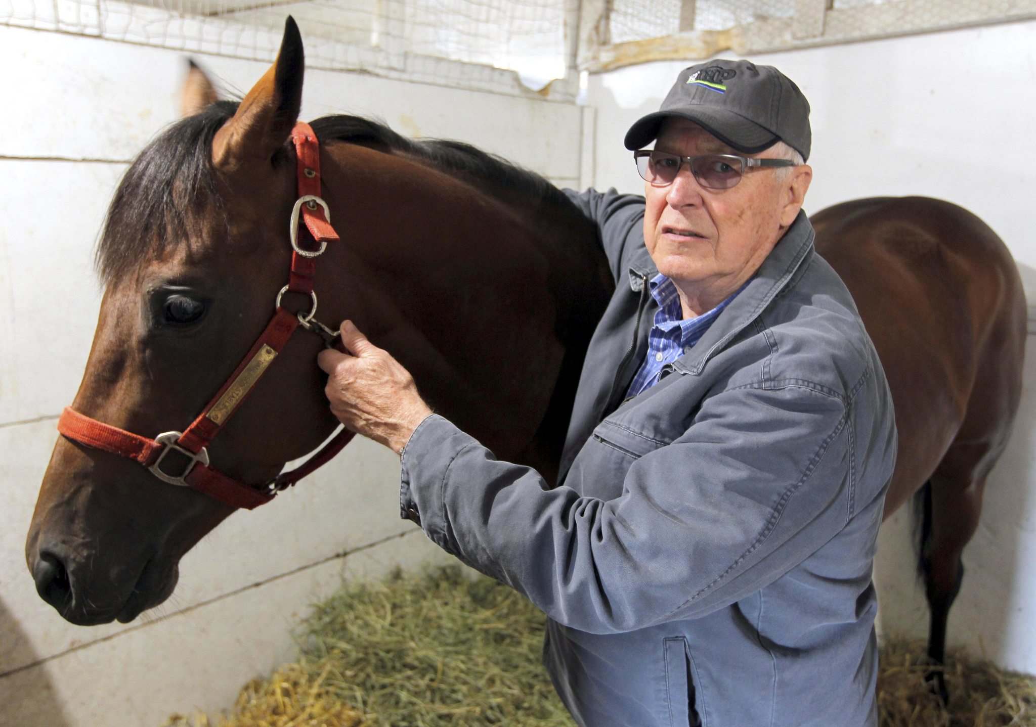 Drive to the finish line – Winnipeg Free Press