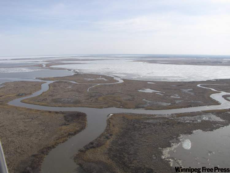 Leave the wetlands wet – Winnipeg Free Press