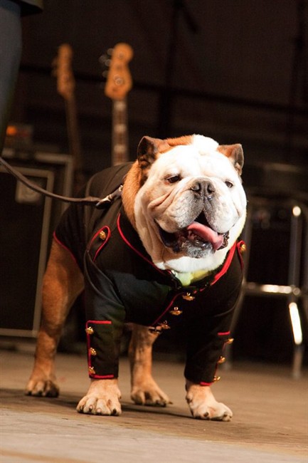 1st national monument for war dogs honours four-legged pup soldiers of ...