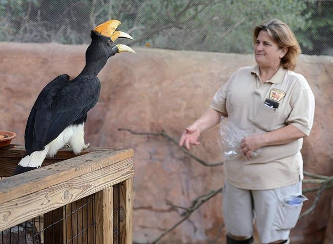 Gladys Porter Zoo in Texas announces rare birds displayed – Winnipeg ...