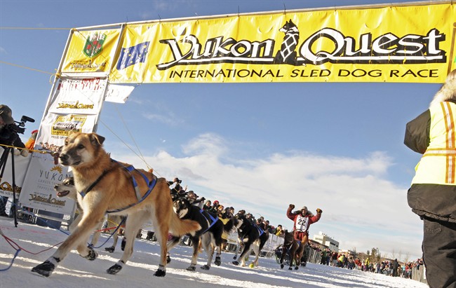 American musher Hugh Neff wins Yukon Quest sled dog race in nine days ...