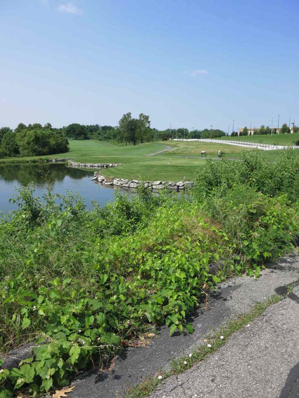 Come for the golf, stay for the wine in Missouri – Winnipeg Free Press