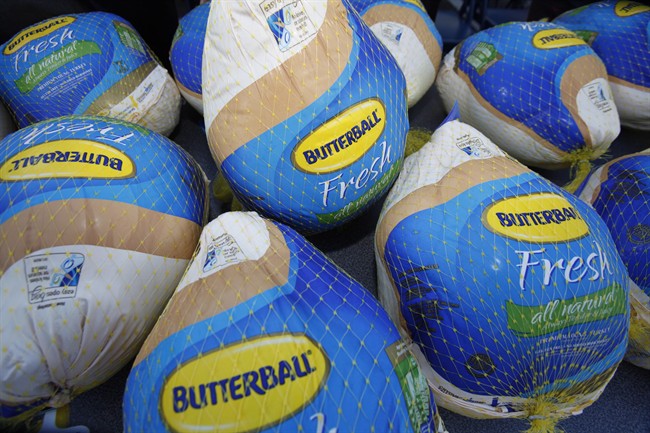 Butterball mystery: Few details on why turkeys didn’t fatten up ...