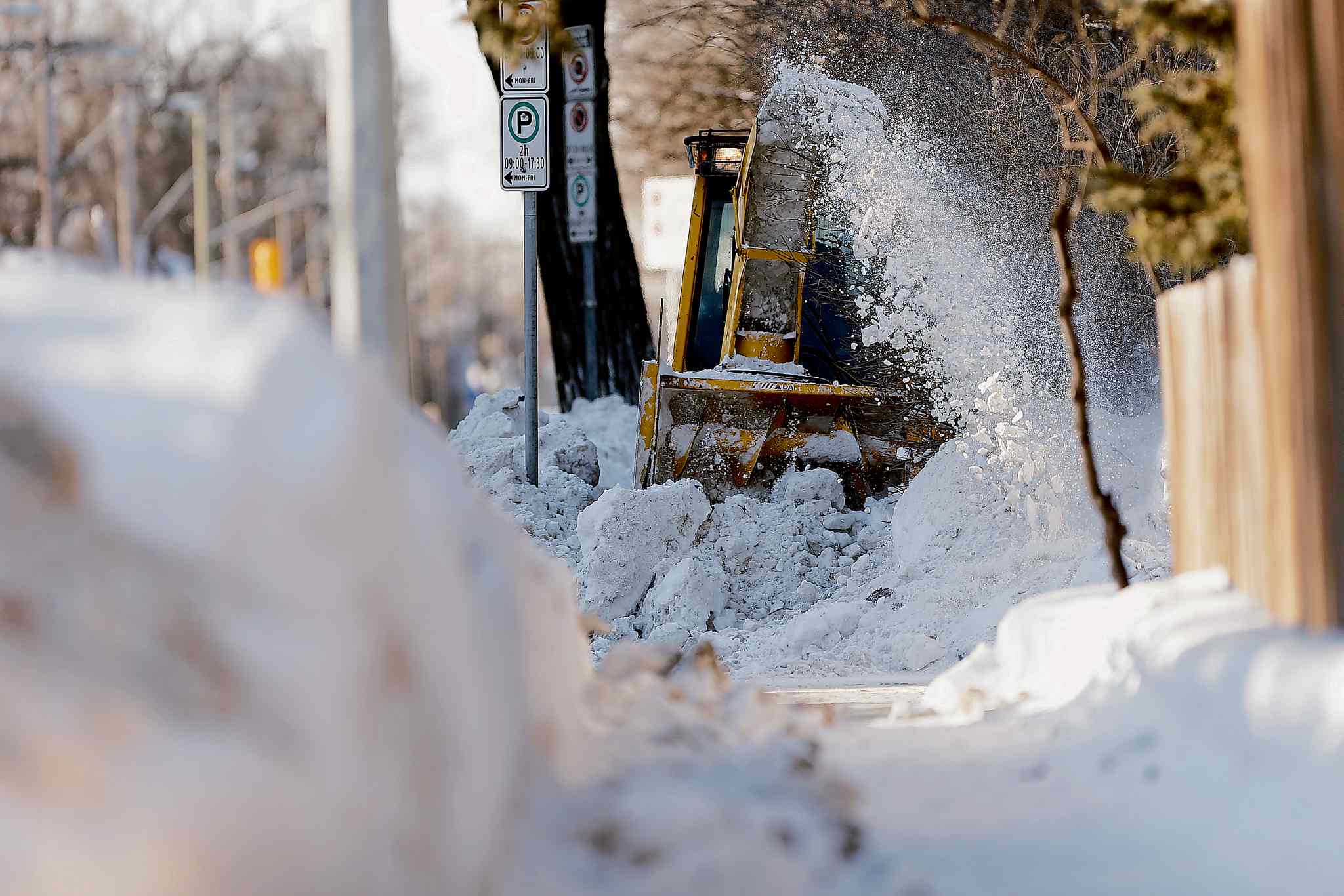 That’s using your brine! – Winnipeg Free Press