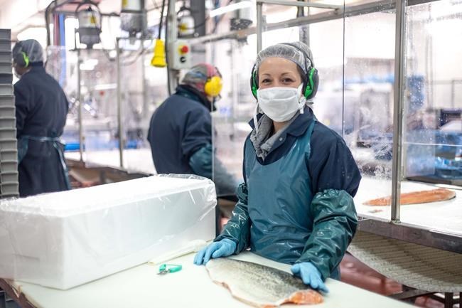 N.B. seafood giant Cooke buys insolvent U.S. fish processor, expands ...