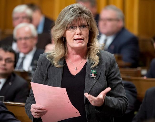 A profile of Manitoba Progressive Conservative leadership candidate ...