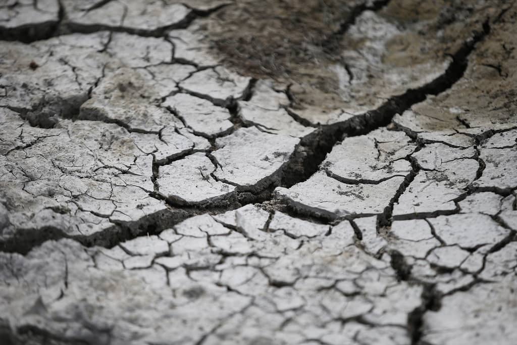 Down in the drought – Winnipeg Free Press